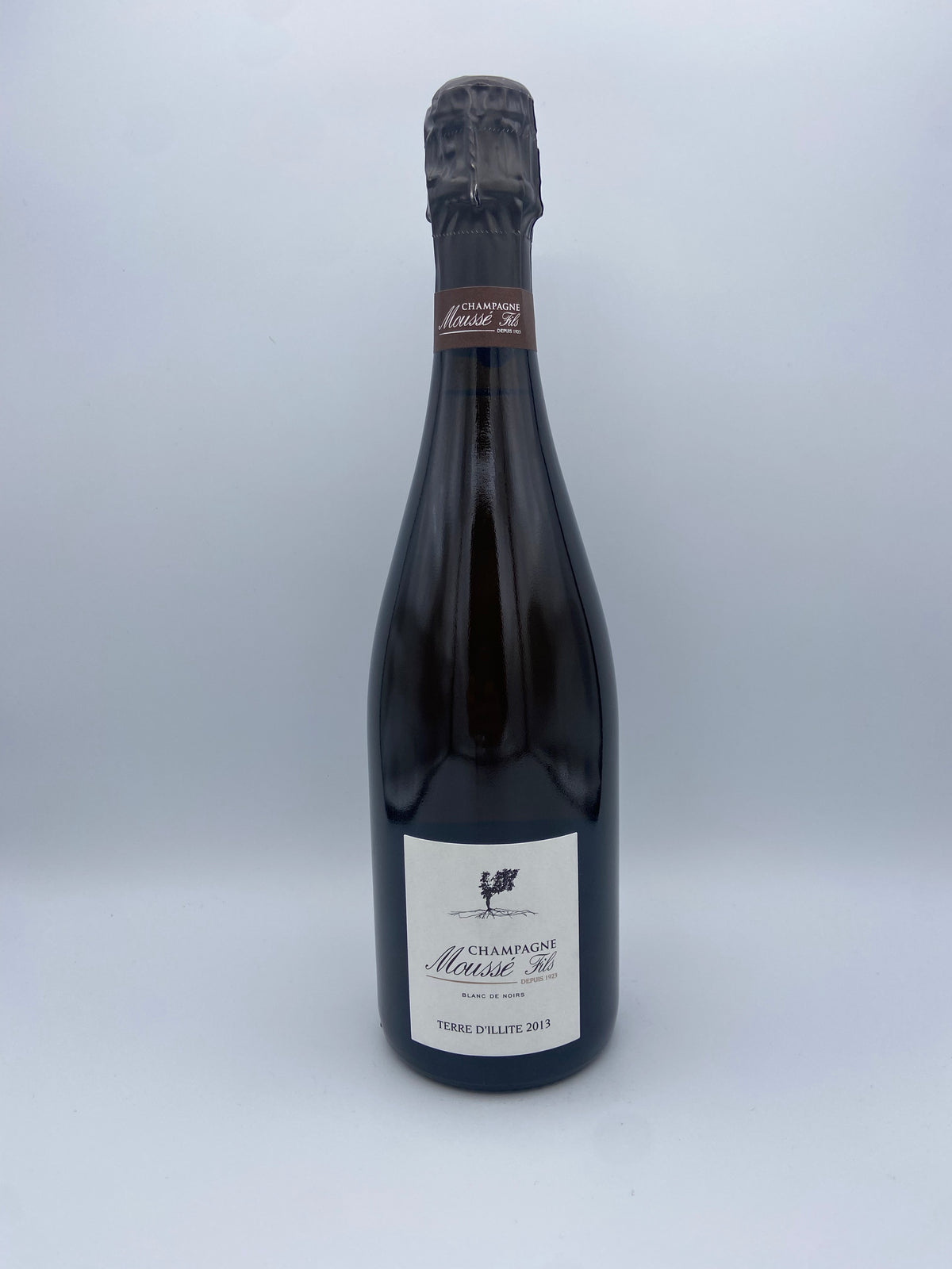 Mousse Fils Champagne– Vinyl Wine